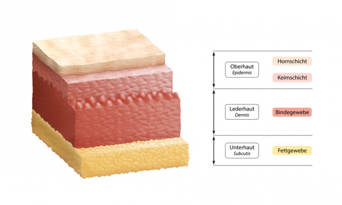 Unreine Haut: Tipps gegen Pickel und Mitesser