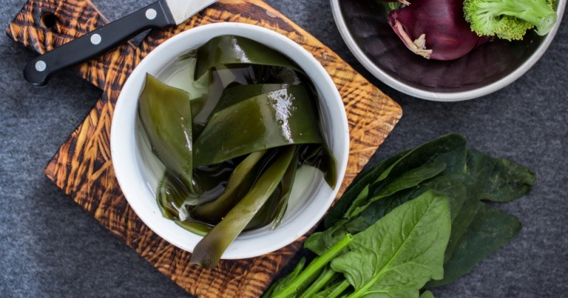 Algen zum Essen: grüner Food-Trend mit hohem Nährstoffgehalt